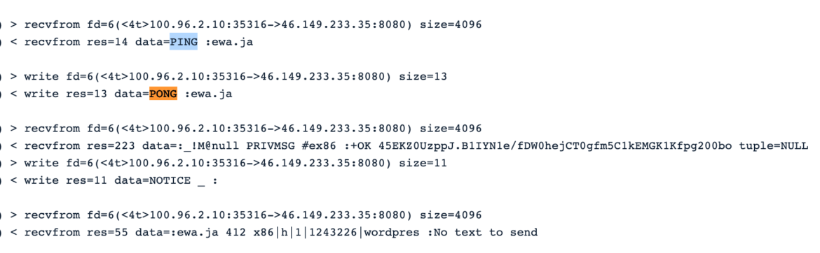 Hands On Muhstik Botnet Crypto Mining Attacks Targeting Kubernetes Sysdig
